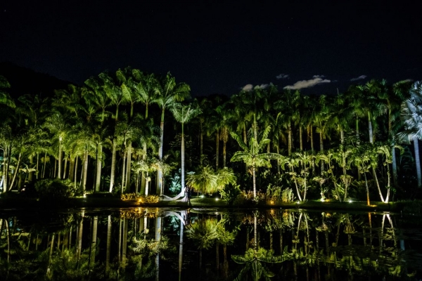 Lago Buriti - Casamento ao Ar Livre no Rio de Janeiro